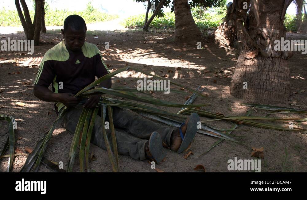 Coconut art crafts Stock Videos & Footage - HD and 4K Video Clips - Alamy