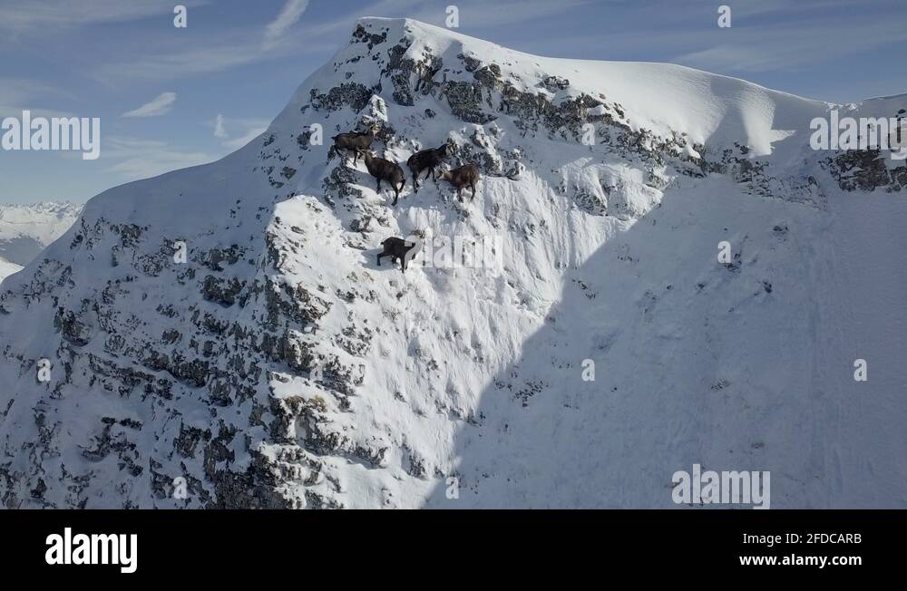 Dangerous terrain Stock Videos & Footage - HD and 4K Video Clips - Alamy