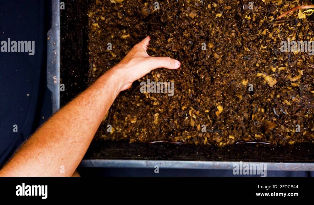 Biomass sustainability Stock Videos & Footage - HD and 4K Video Clips ...