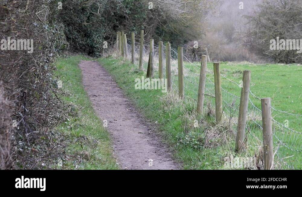 Supporting wire Stock Videos & Footage - HD and 4K Video Clips - Alamy