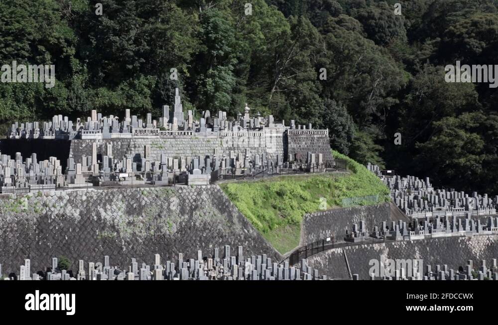 Shinran shonin Stock Videos & Footage - HD and 4K Video Clips - Alamy
