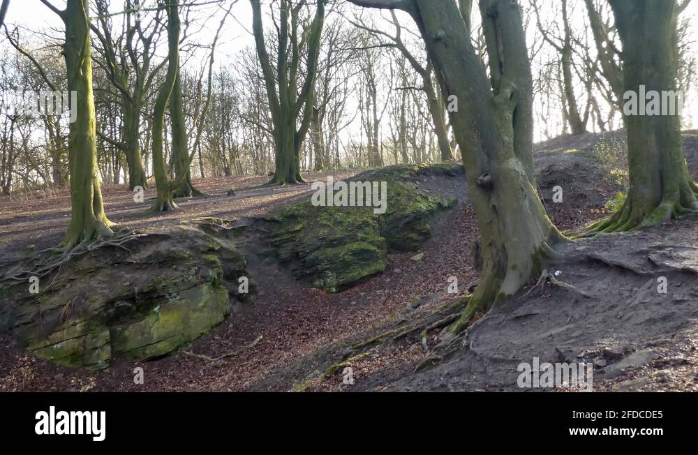 Tyre rope swing Stock Videos & Footage - HD and 4K Video Clips - Alamy