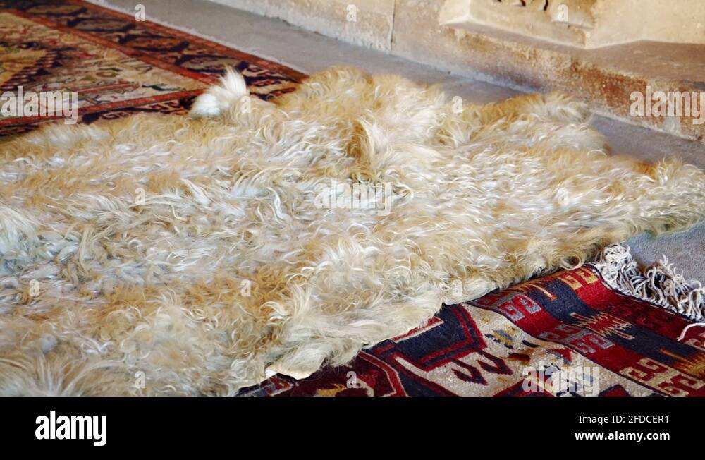 Fur pelt silk road Stock Videos & Footage - HD and 4K Video Clips - Alamy