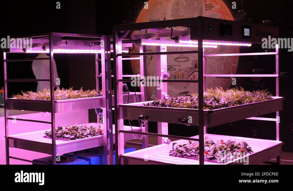 Mars food laboratory Hydroponically cultivation Plants grow nutrients ...