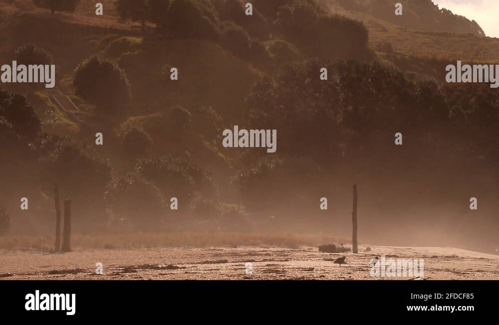 Dust beach Stock Videos & Footage - HD and 4K Video Clips - Alamy