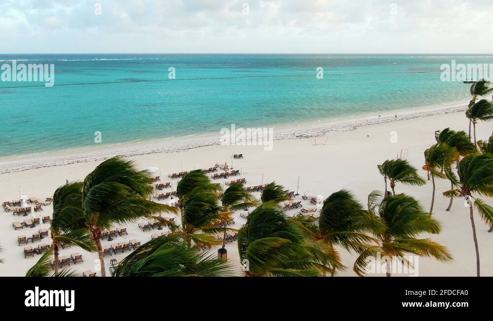 Breeze beach windy tropical Stock Videos & Footage - HD and 4K Video ...