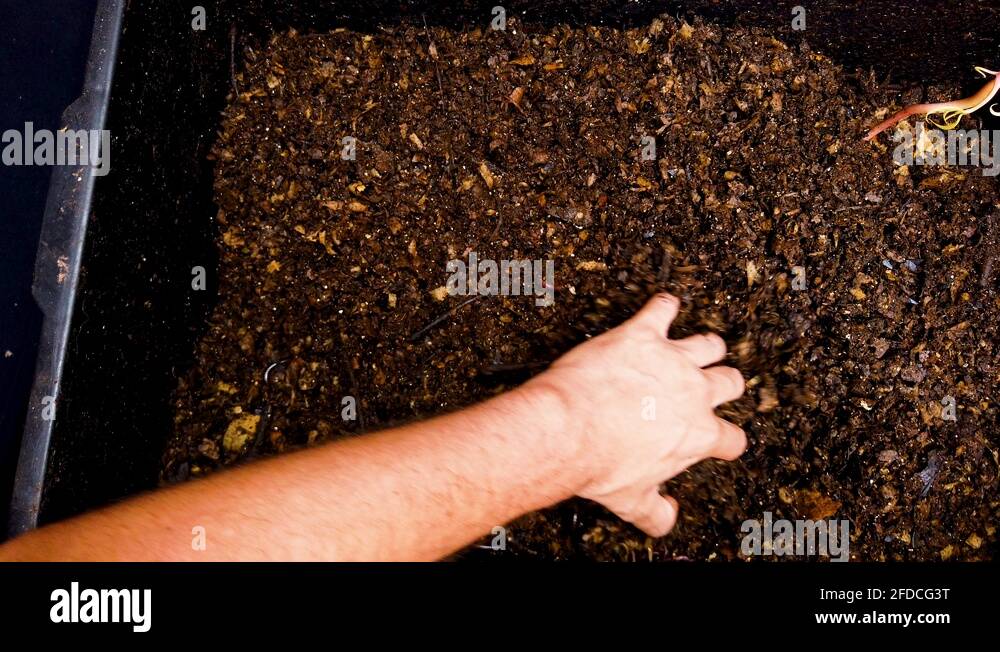 Composting organic matter Stock Videos & Footage - HD and 4K Video ...