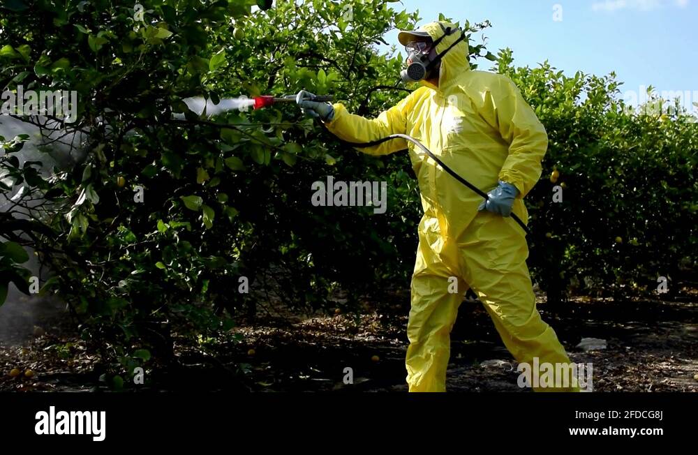 Farm worker spray pesticides, insecticide or herbicide Stock Video ...