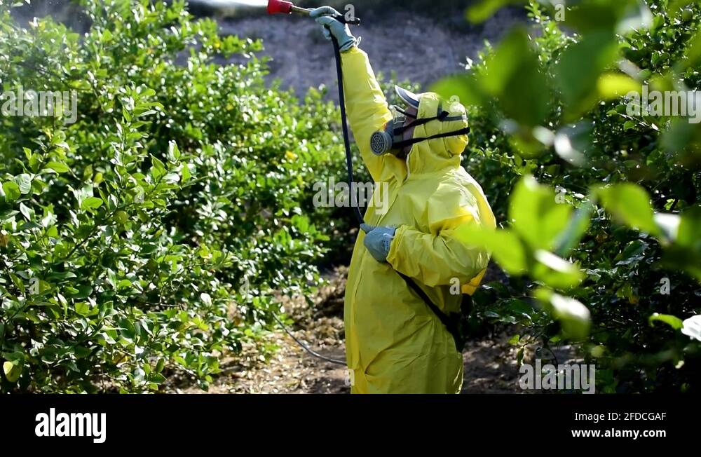 Farm worker spray pesticides, insecticide or herbicide Stock Video ...