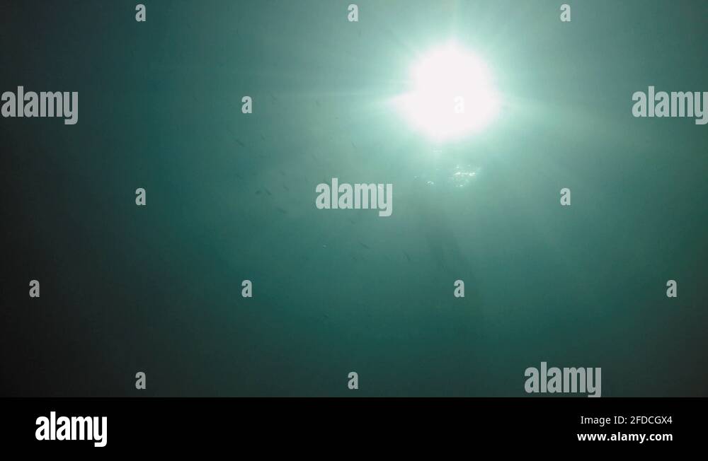 Sea up close Stock Videos & Footage - HD and 4K Video Clips - Alamy