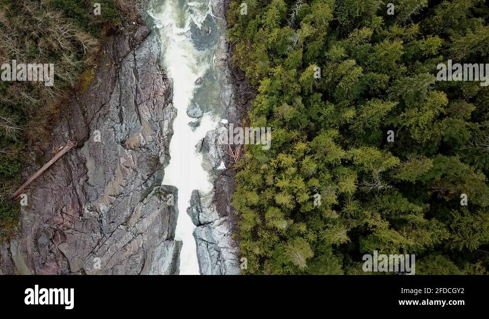 Kennedy River Water Flowing On The Rocky Stream Surrounded By The Lush ...