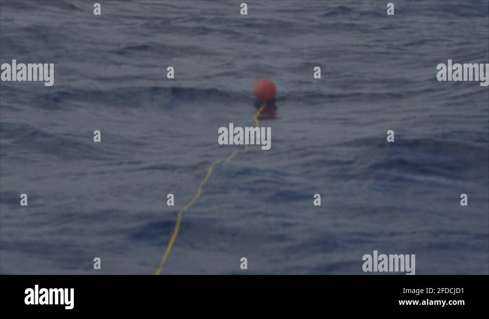 Scuba cayman islands Stock Videos & Footage - HD and 4K Video Clips - Alamy