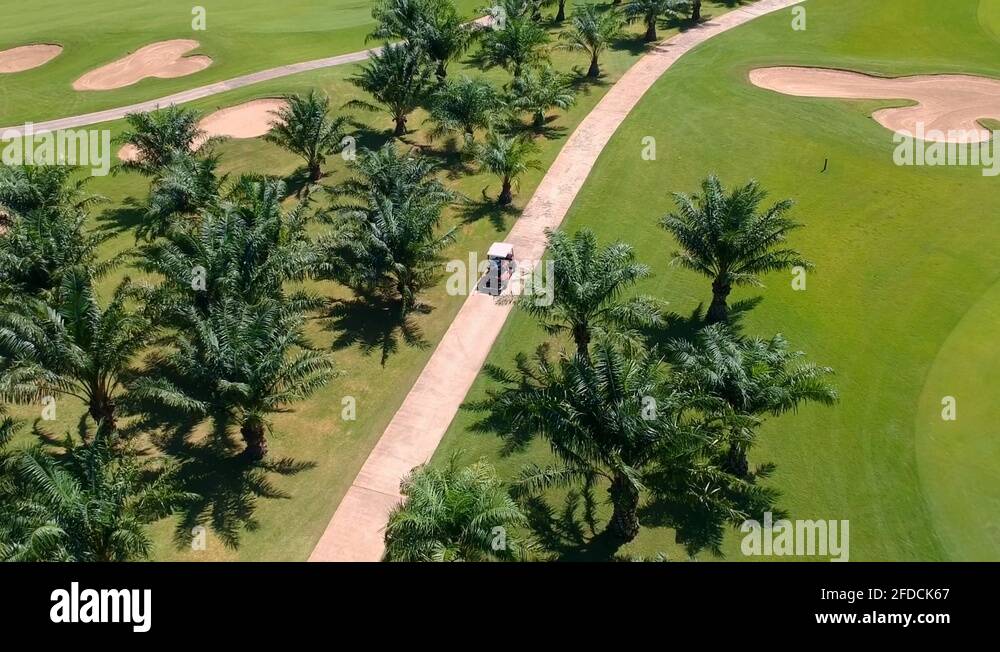 Golf carts palm tree Stock Videos & Footage - HD and 4K Video Clips - Alamy