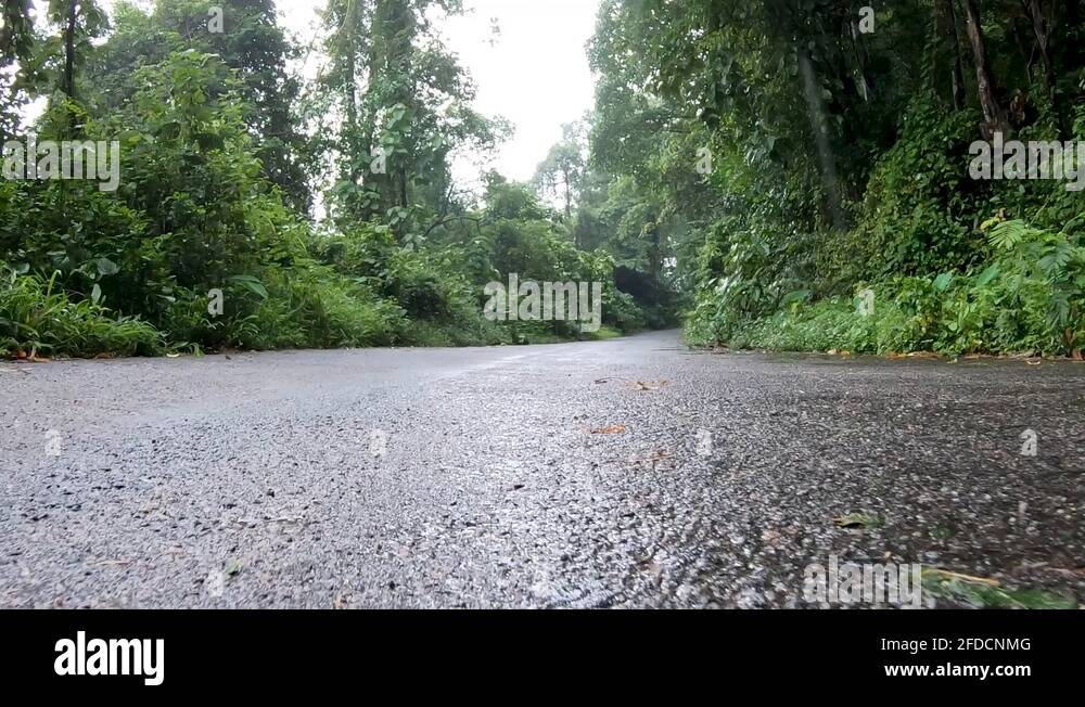 Wet tar Stock Videos & Footage - HD and 4K Video Clips - Alamy
