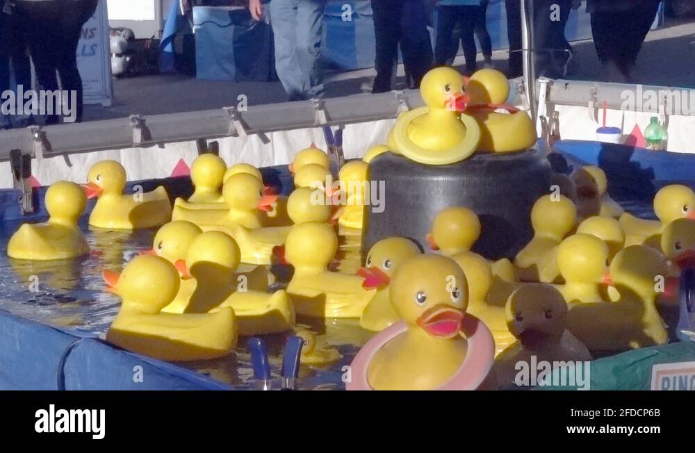 Scene from the duck ring toss game at the NC State Fair, 2019. Slow ...