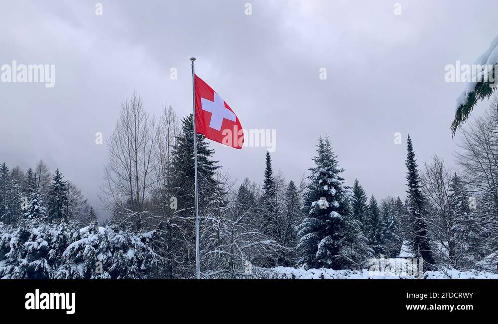 Square swiss flag Stock Videos & Footage - HD and 4K Video Clips - Alamy