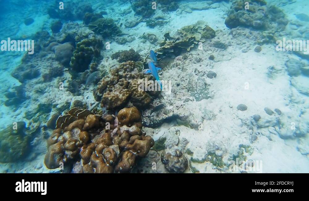 Water shallows Stock Videos & Footage - HD and 4K Video Clips - Alamy