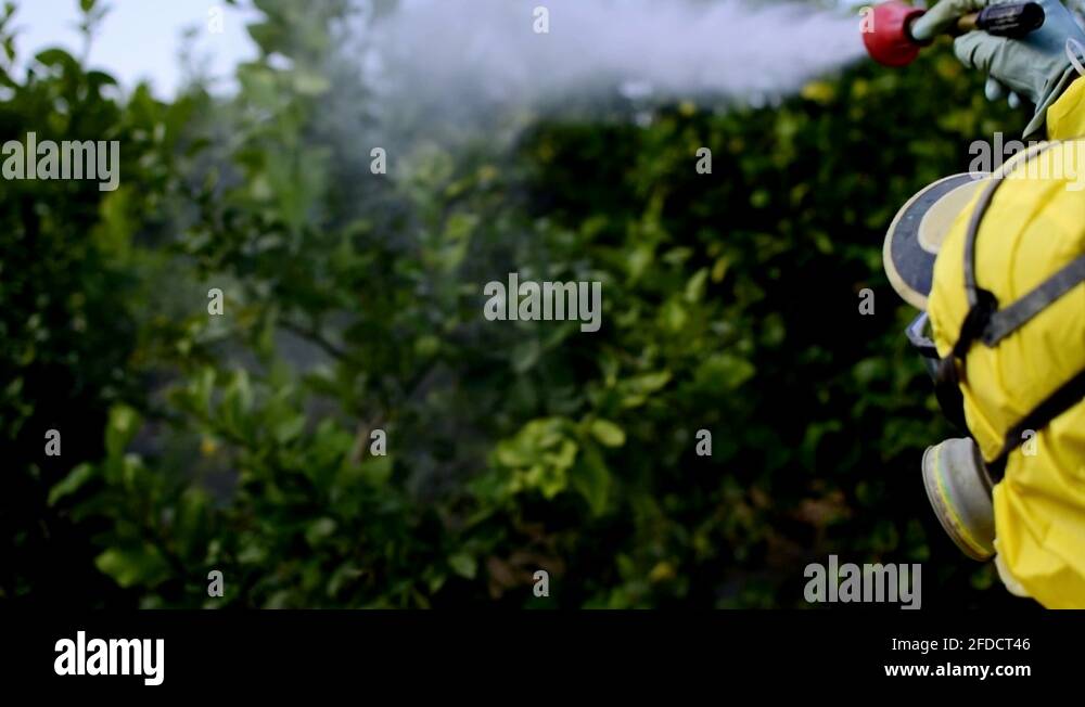 Farm worker spray pesticides, insecticide or herbicide Stock Video ...