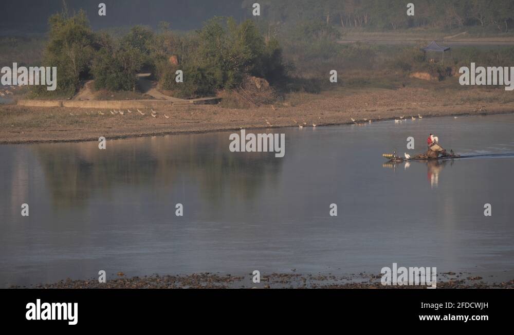 Raft of birds Stock Videos & Footage - HD and 4K Video Clips - Alamy