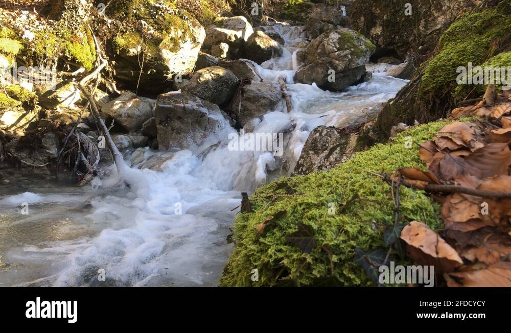 Flora of frozen Stock Videos & Footage - HD and 4K Video Clips - Alamy