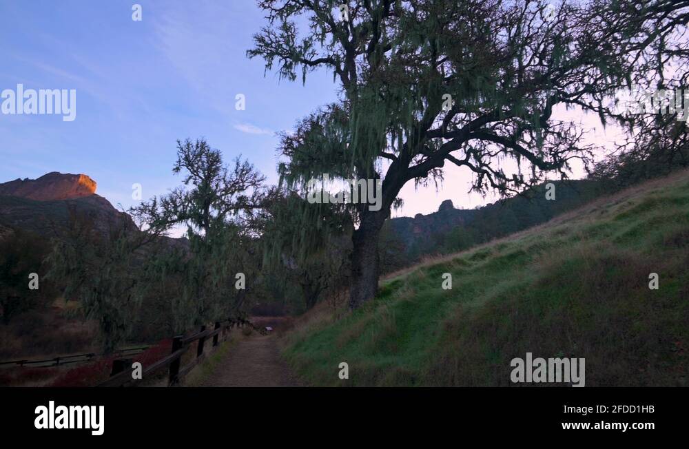 Pinnacles national park trees Stock Videos & Footage - HD and 4K Video ...