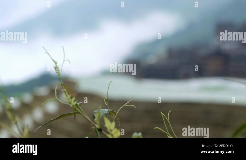 Terrace scenery Stock Videos & Footage - HD and 4K Video Clips - Alamy