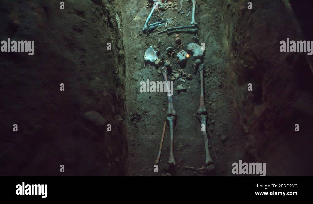 Gothic remains anatomy Stock Videos & Footage - HD and 4K Video Clips ...