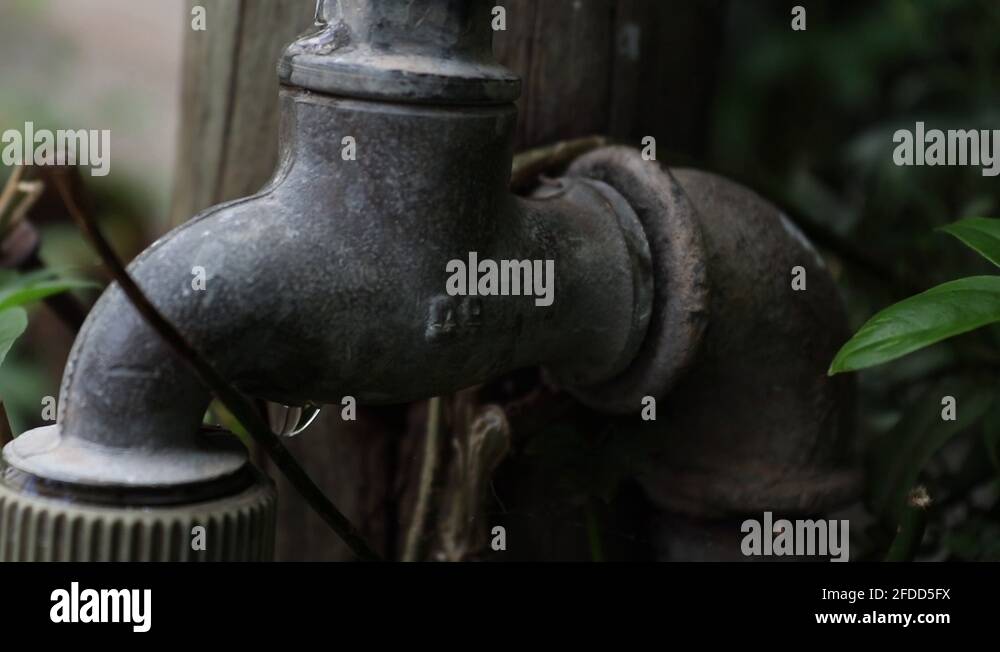 Wasting water Stock Videos & Footage - HD and 4K Video Clips - Alamy
