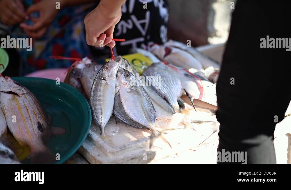 Asian fish market Stock Videos & Footage - HD and 4K Video Clips - Alamy
