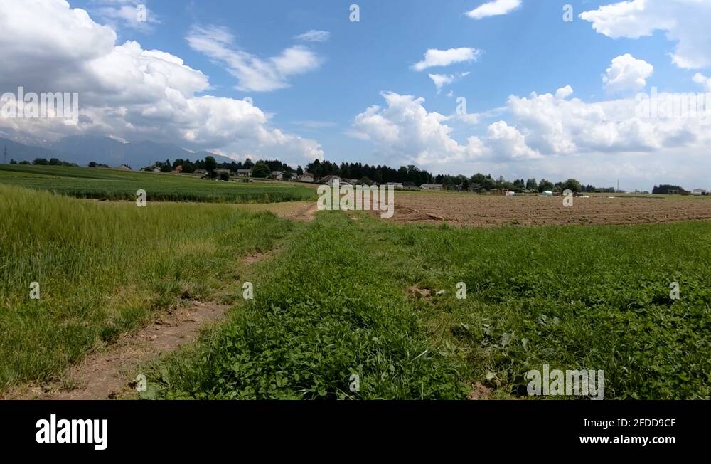 Maltese soil Stock Videos & Footage - HD and 4K Video Clips - Alamy