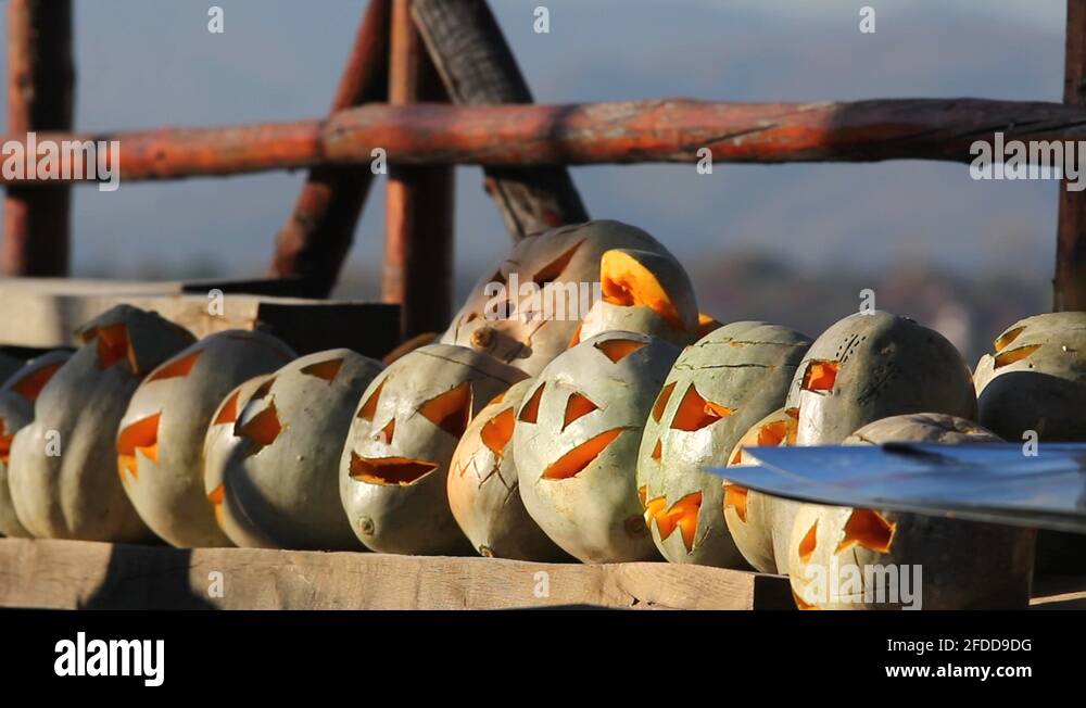 Traditional pumpkins Stock Videos & Footage - HD and 4K Video Clips - Alamy