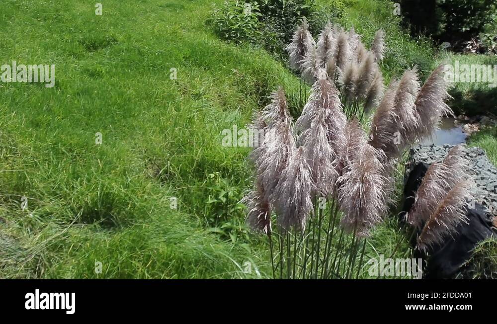 Riverside texture Stock Videos & Footage - HD and 4K Video Clips - Alamy