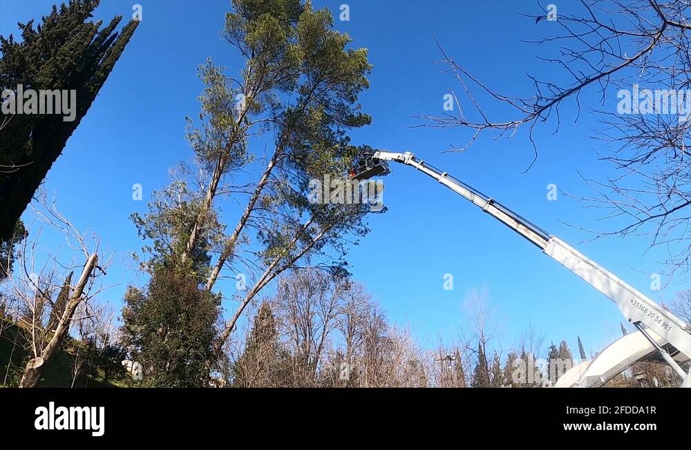 Hydraulic platform to cut tree branches Stock Videos & Footage - HD and ...