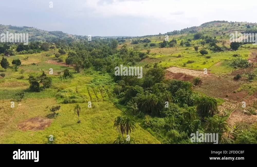 Uganda landscapes Stock Videos & Footage - HD and 4K Video Clips - Alamy