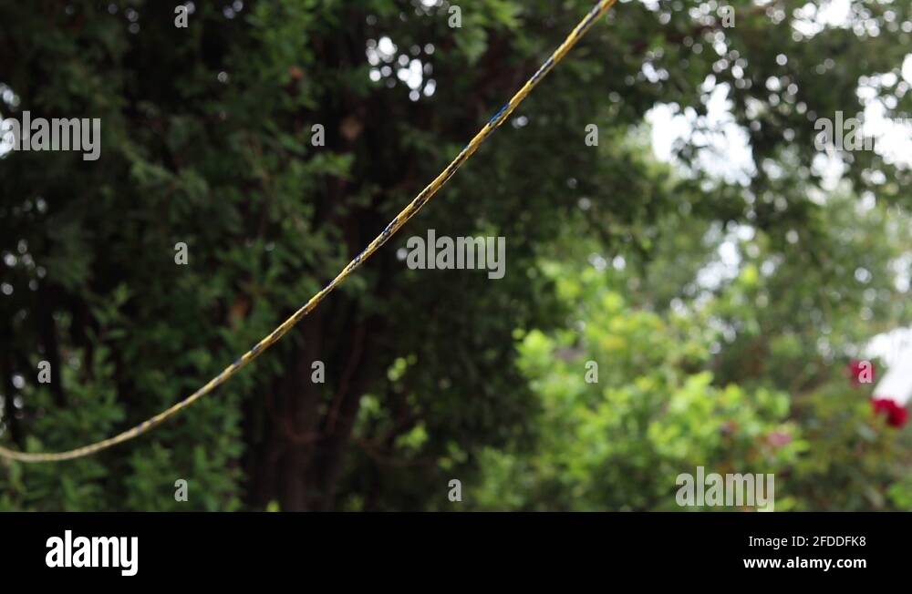 Wind blown clothes Stock Videos & Footage - HD and 4K Video Clips - Alamy