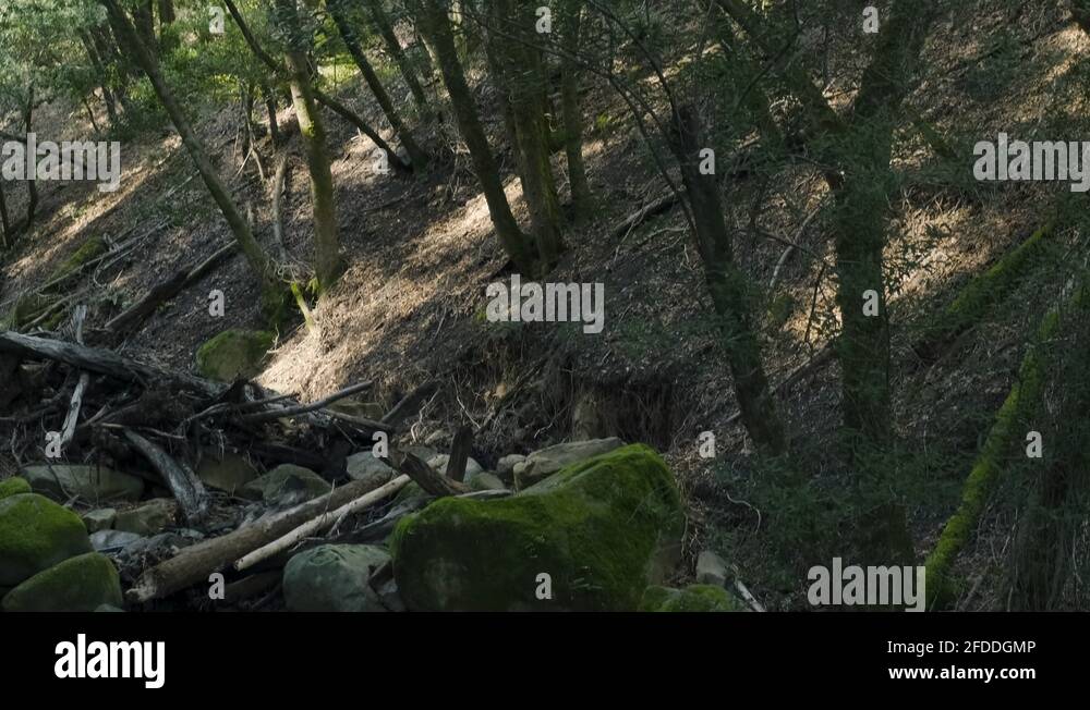Ground close up Stock Videos & Footage - HD and 4K Video Clips - Alamy