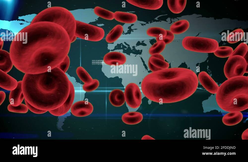 Animation of red blood cells with world map in background Stock Video ...