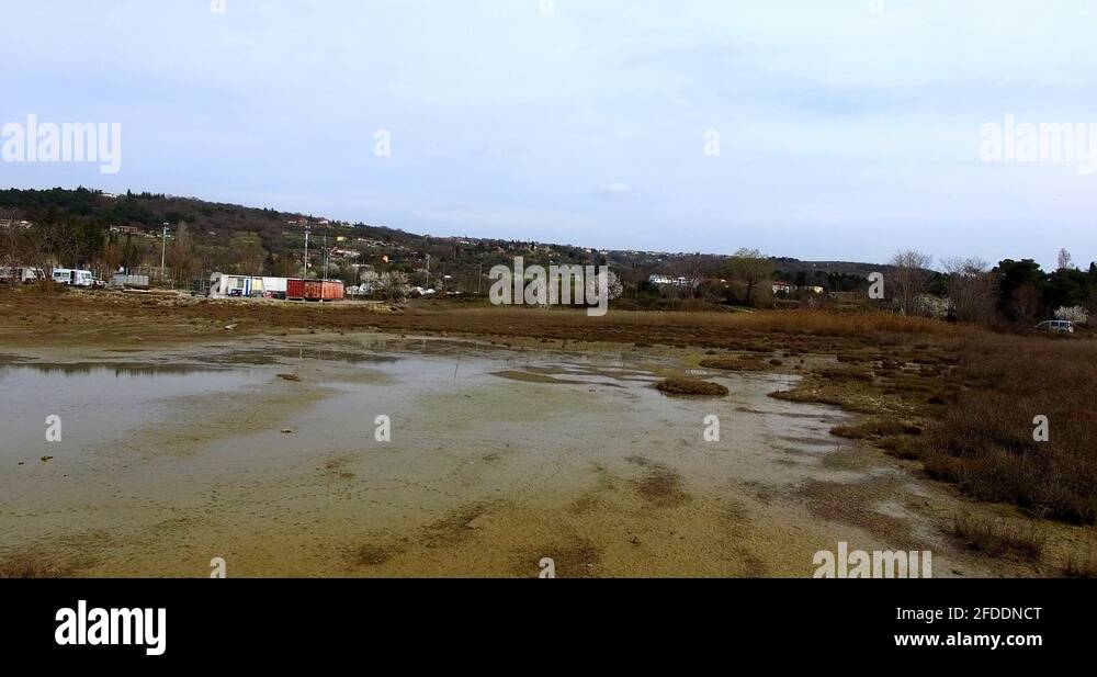 Disgusting Infected Water Environment caused by Industrial Pollution ...