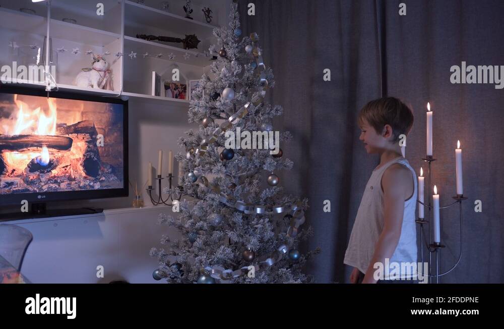 Wizard tree Stock Videos & Footage - HD and 4K Video Clips - Alamy