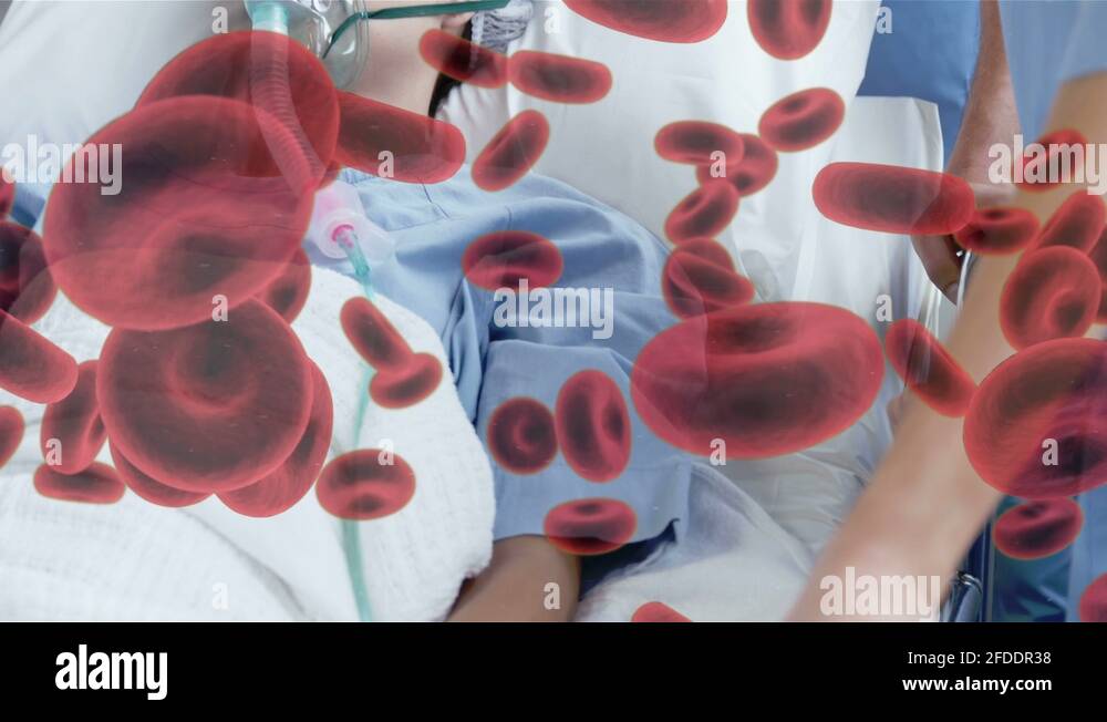 Sick cells Stock Videos & Footage - HD and 4K Video Clips - Alamy
