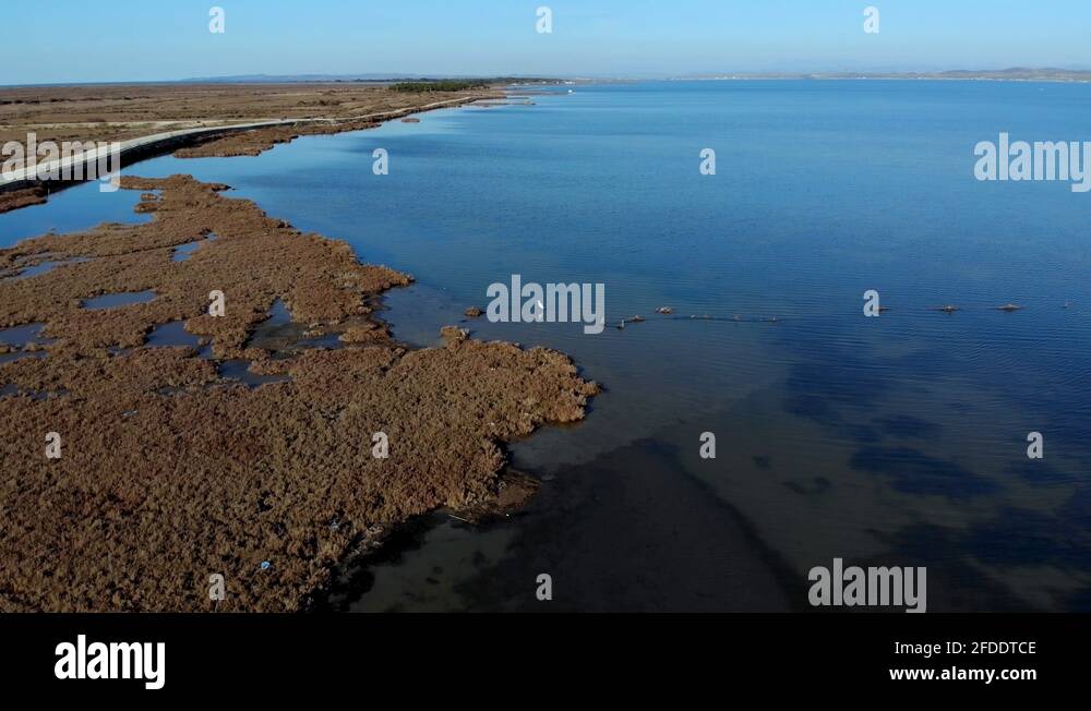 Ideal environment Stock Videos & Footage - HD and 4K Video Clips - Alamy