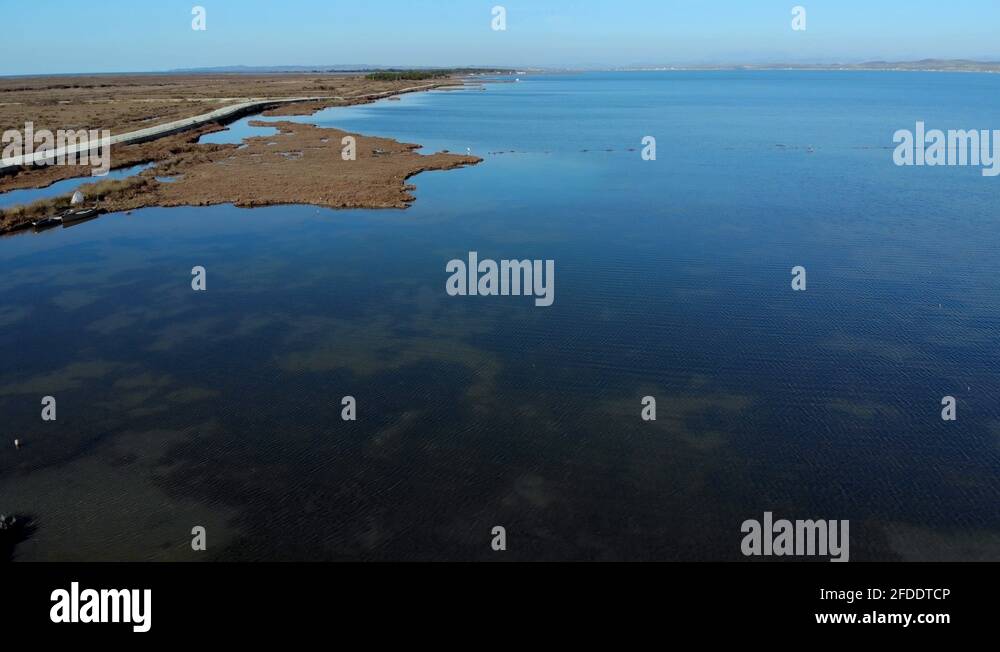 Wildlife conservation science Stock Videos & Footage - HD and 4K Video ...