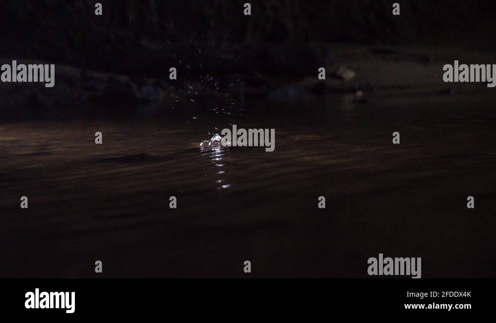 Floating water droplet Stock Videos & Footage - HD and 4K Video Clips ...