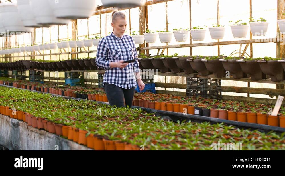 Paperwork farm office Stock Videos & Footage - HD and 4K Video Clips ...