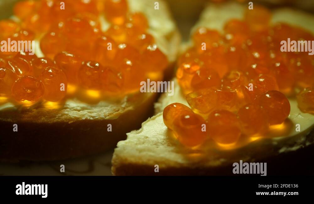 Roe species Stock Videos & Footage - HD and 4K Video Clips - Alamy