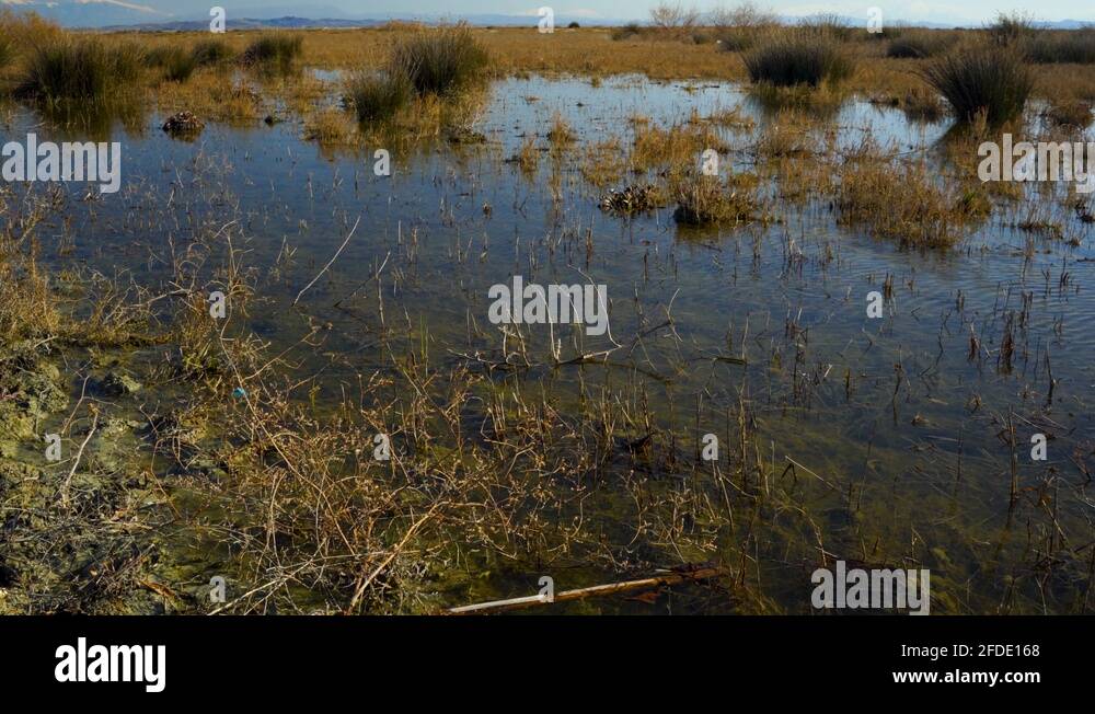 Dry ponds Stock Videos & Footage - HD and 4K Video Clips - Alamy