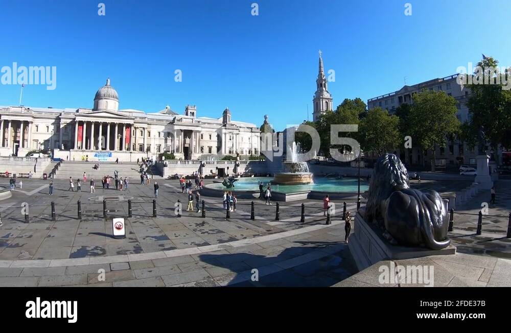 English british uk heritage history historic nelson statue Stock Videos ...
