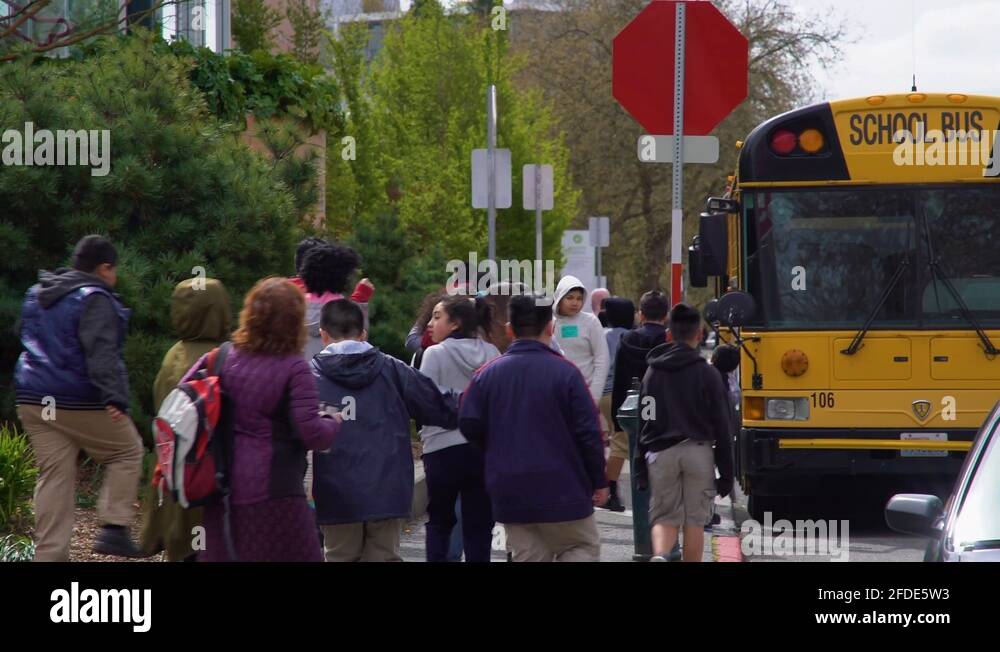 First bus line Stock Videos & Footage - HD and 4K Video Clips - Alamy