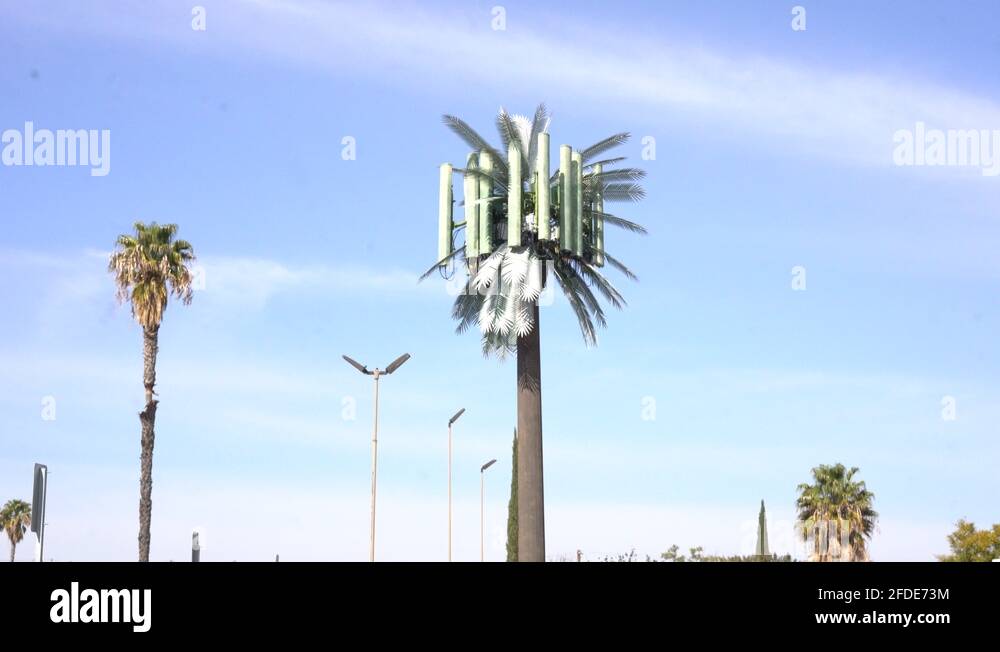 Cell tower palm tree Stock Videos & Footage - HD and 4K Video Clips - Alamy