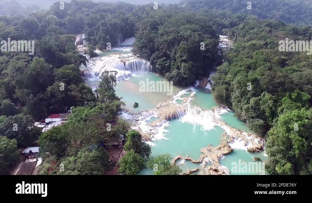 Mexican rain forest Stock Videos & Footage - HD and 4K Video Clips - Alamy